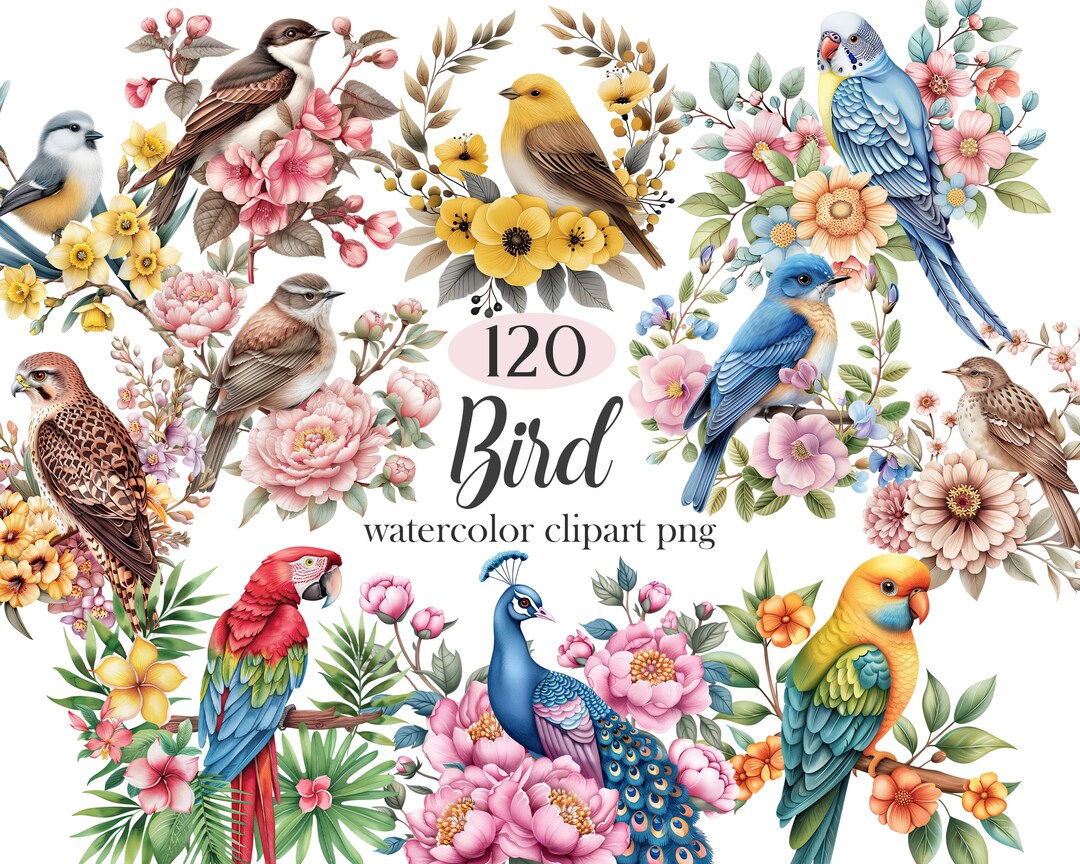 Bird Clipart, Watercolor Bird PNG Bundle, Bird Sublimation, Spring ...
