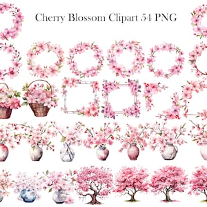 Cherry Blossom Flower Clipart, Watercolor Pink Sakura PNG, Wedding ...