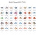 Fish Clipart Bundle, Watercolor Fish PNG, Fish Sublimation, Digital ...