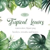 Jungle Clip Art, Leaf Clipart, Tropical Clip Art, Jungle Leaves, Plant ...