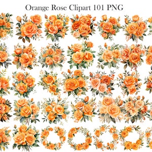 Orange Rose PNG, Watercolor Orange Rose Clipart Bundle, Wedding Bouquet ...