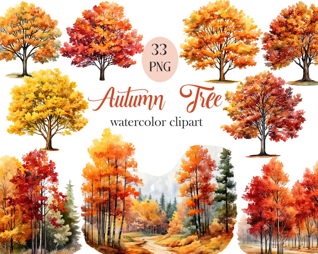 Autumn Tree PNG, Watercolor Autumn Tree Clipart Bundle, Fall Tree ...