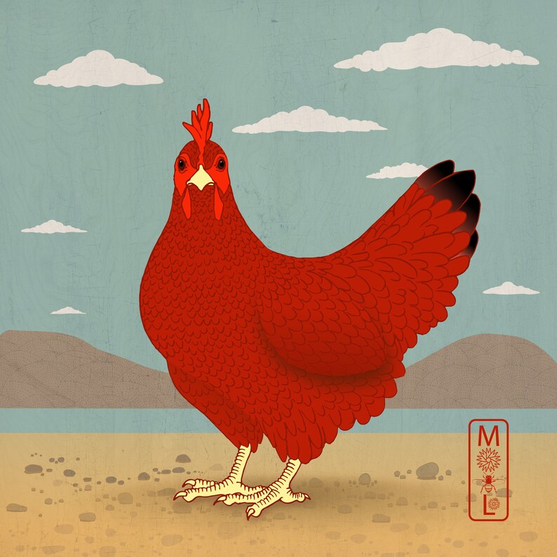 Rhode Island Red Hen - Unframed - Etsy