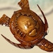 Da Hawaiian Store Hand-carved Wood Honu Turtle Featuring Maui and ...