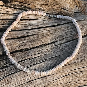 Da Hawaiian Store Small Cone Puka Shell Choker Necklace 16"-17" Length ...