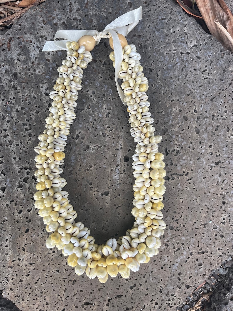 Da Hawaiian Store Genuine Cowry Cowrie Shell Rosettes Lei or - Etsy