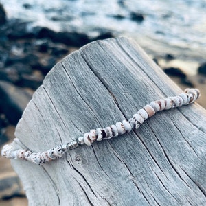 Da Hawaiian Store Small Cone Puka Shell Choker Necklace 16"-17" Length ...