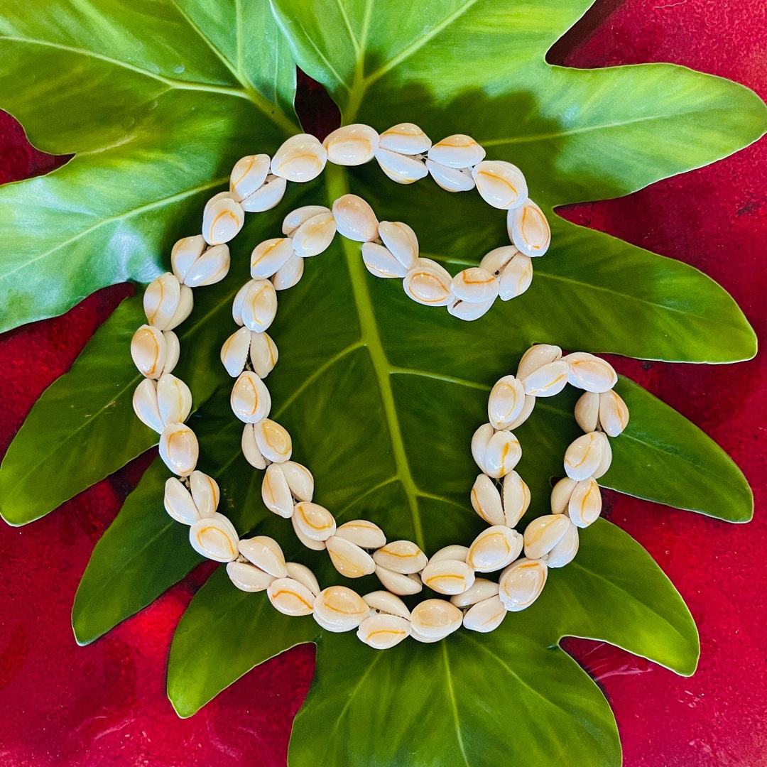 Hawaiian Store Genuine Ring Top Cowrie Cowry Shell Lei - Etsy