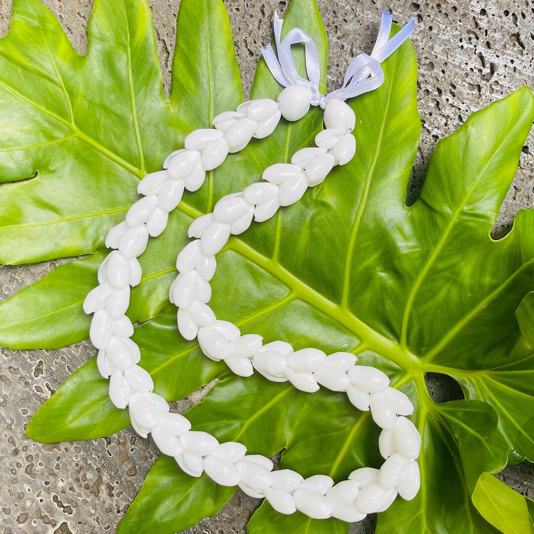 Da Hawaiian Store Class of 2025 Braided Bubble Shell and Kukui Wedding ...