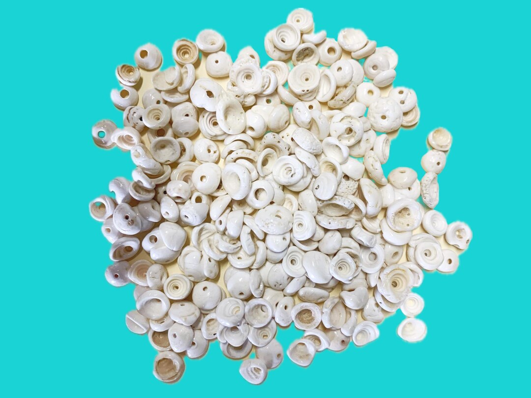 Pre-drilled White Puka Shells Loose Beads for Jewelry Making & Crafts ...