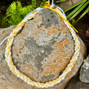 Da Hawaiian Store Class of 2024 Flat Braided Mongo Shell Lei Necklace ...