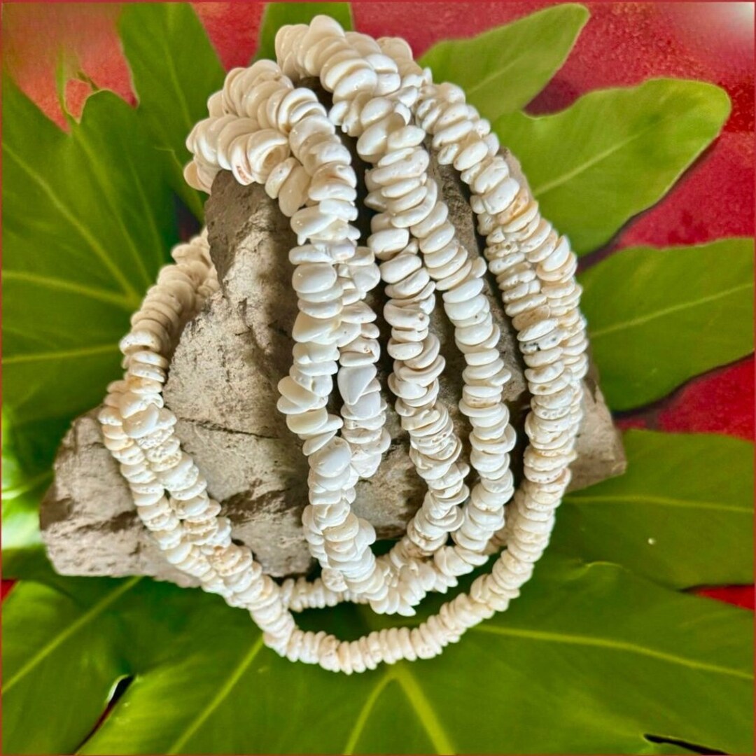 Da Hawaiian Store Natural Puka Shell Necklace (choose Length) - Etsy