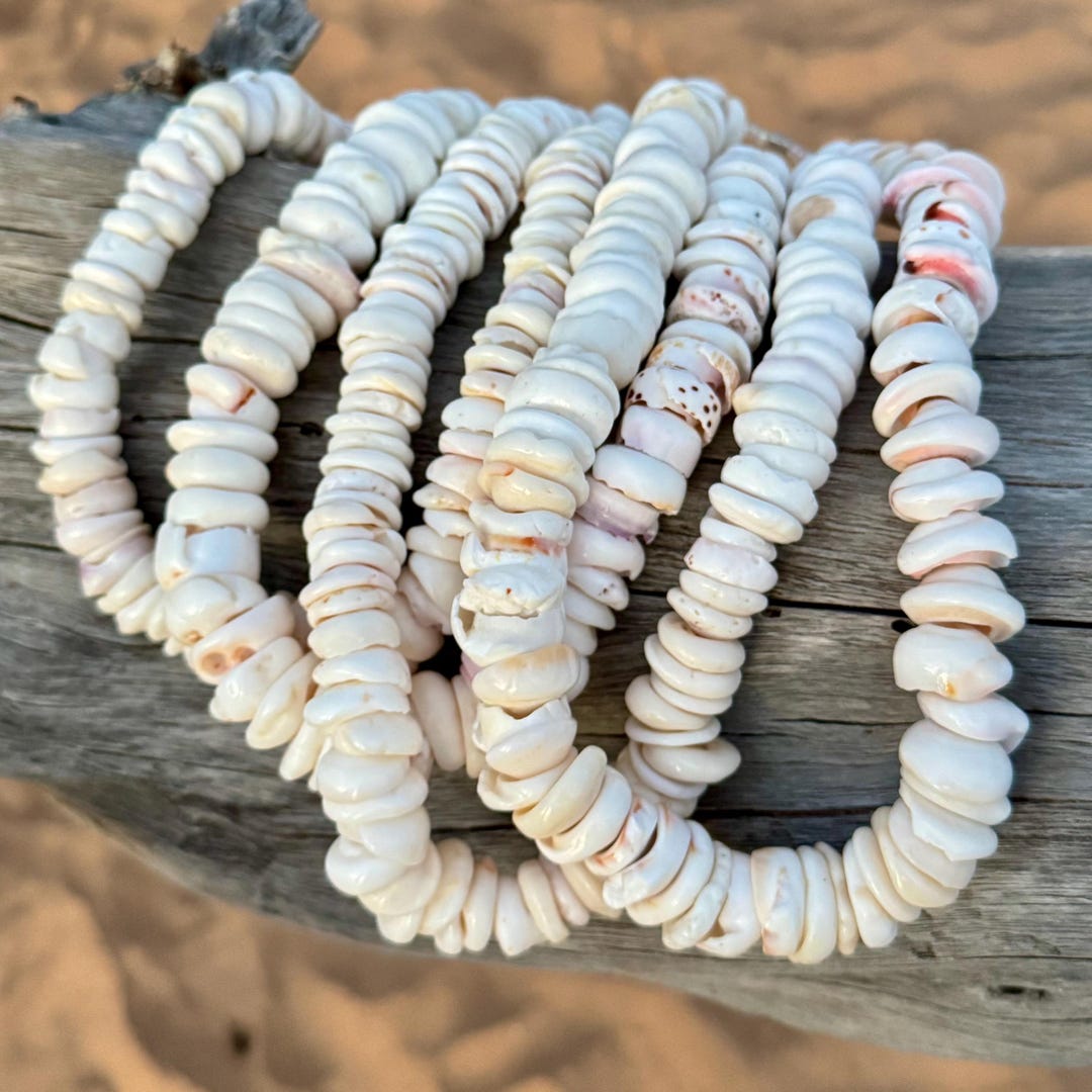 Hawaiian Store Large Puka Shell Necklace Choker (choose) - Etsy