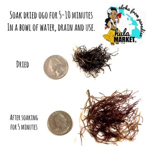 Hula Market Dried Hawaiian Ogo Limu Seaweed - Etsy