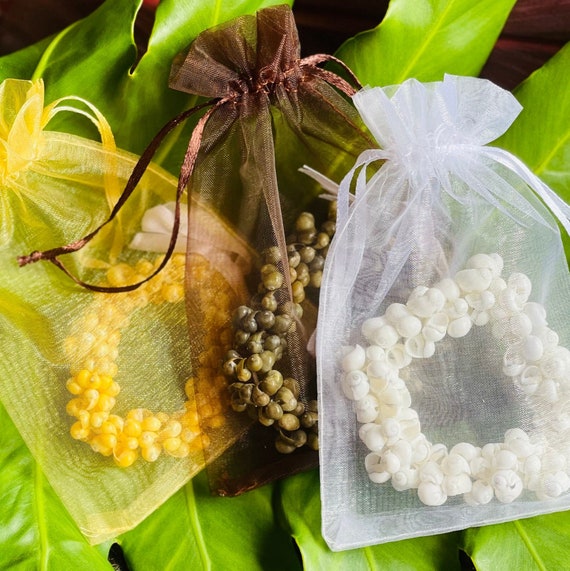 Da Hawaiian Store Mongo Shell Stretch Bracelet choose Color - Etsy