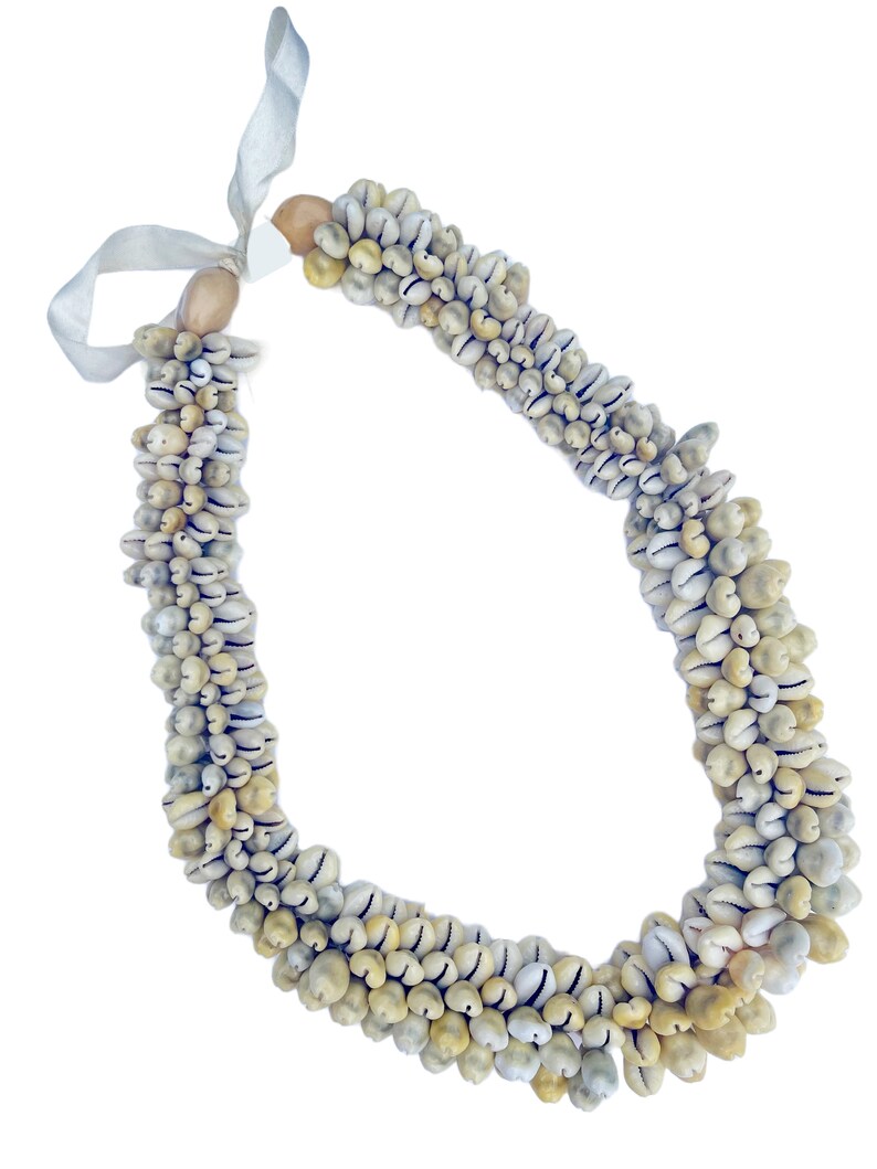 Da Hawaiian Store Genuine Cowry Cowrie Shell Rosettes Lei or - Etsy