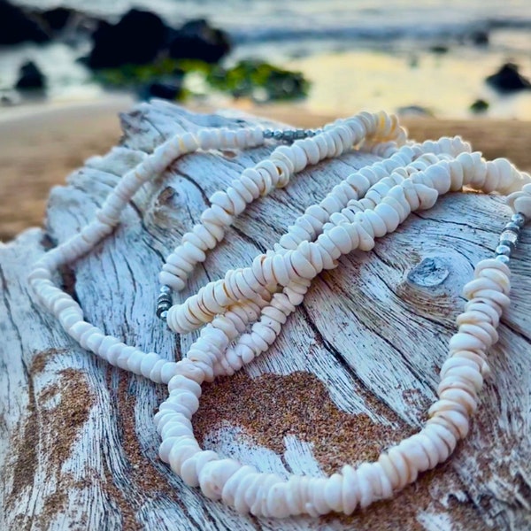 Puka Shell Choker - Etsy