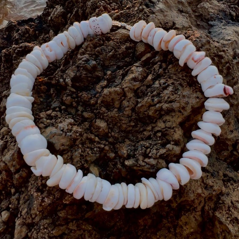 Hawaiian Store Large Puka Shell Necklace Choker (choose) - Etsy