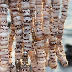 Da Hawaiian Store Small Cone Puka Shell Choker Necklace 16"-17" Length ...