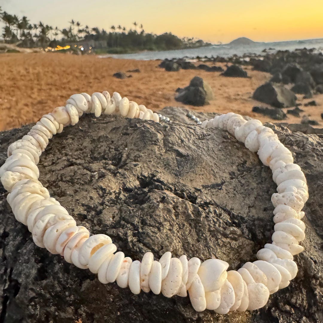 Da Hawaiian Store Large Puka Shell Necklace Choker 20 - Etsy