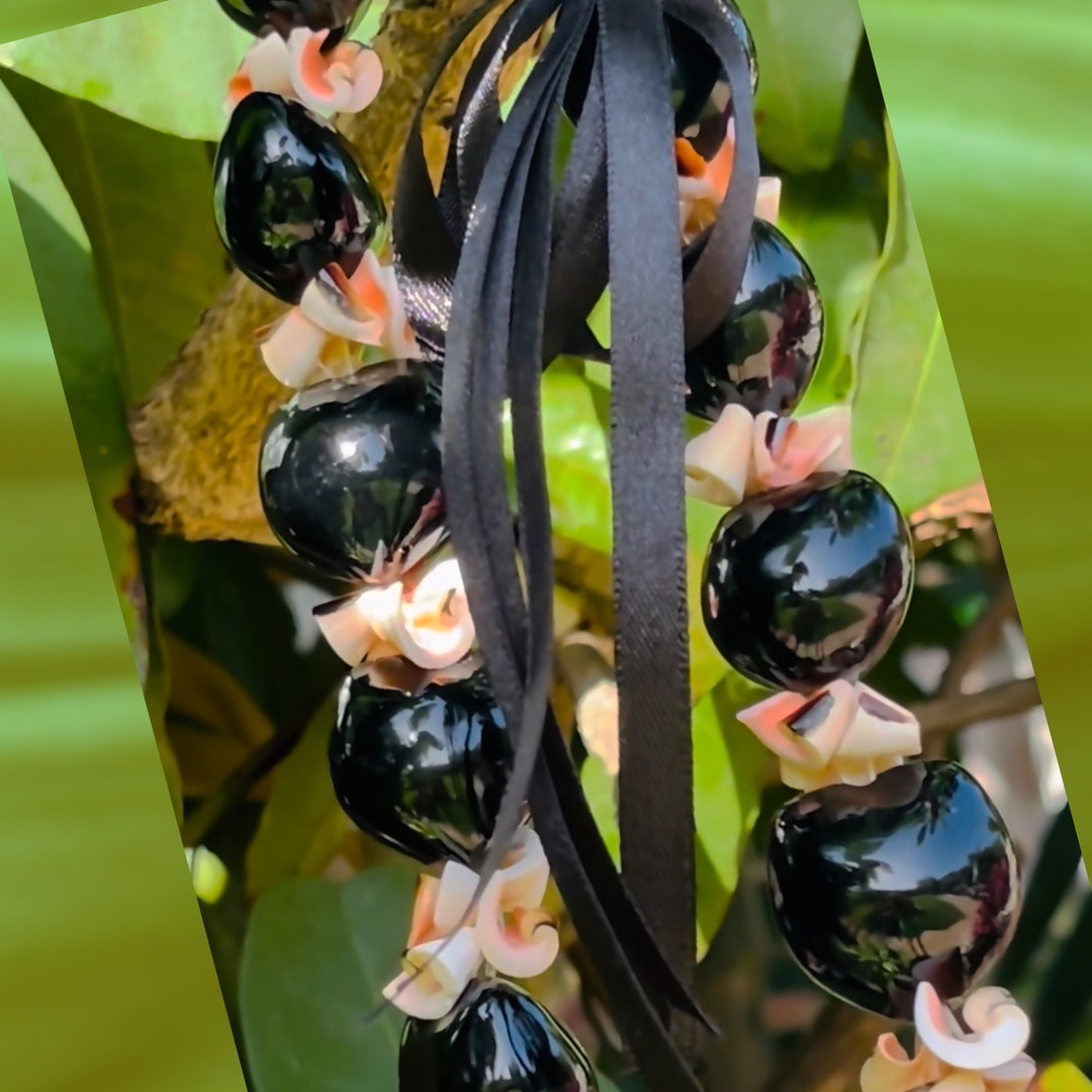 Kukui Nut Lei With Shells, Hawaiian Style Graduation Lei, Luau Necklace ...