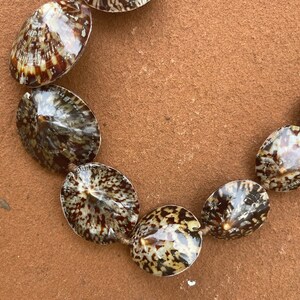 Da Hawaiian Store Genuine Opihi Limpet Shell Lei Necklace - Etsy