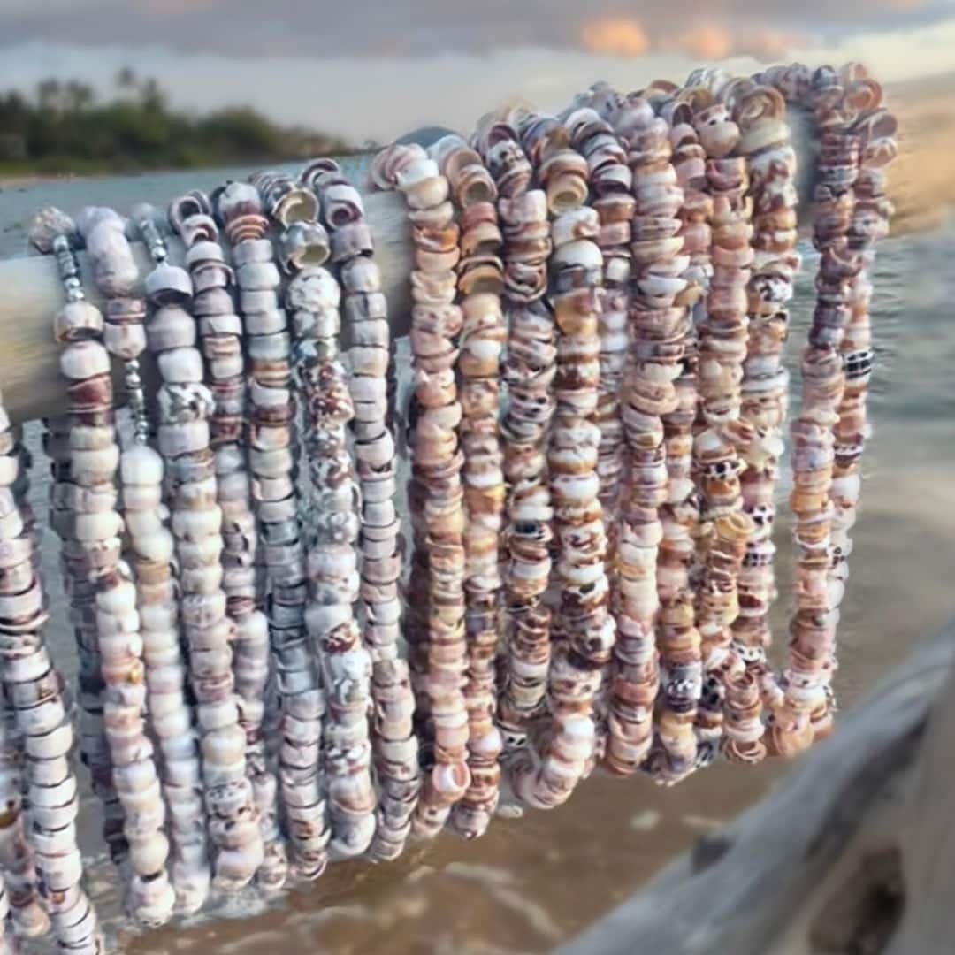 Hawaiian Store Cone Puka Shell Choker Necklace - Etsy