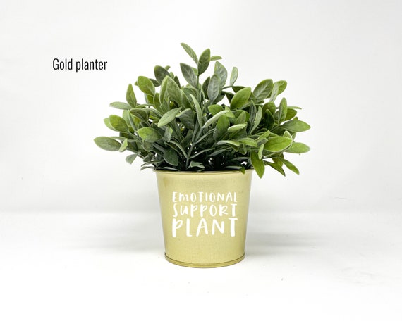 Home & Hobby Concrete Planter Gold Planter Emotional Support Plant ...