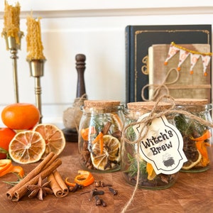 Witch's Brew Simmer Pot All Natural Herbs and Spices, Halloween Potion ...