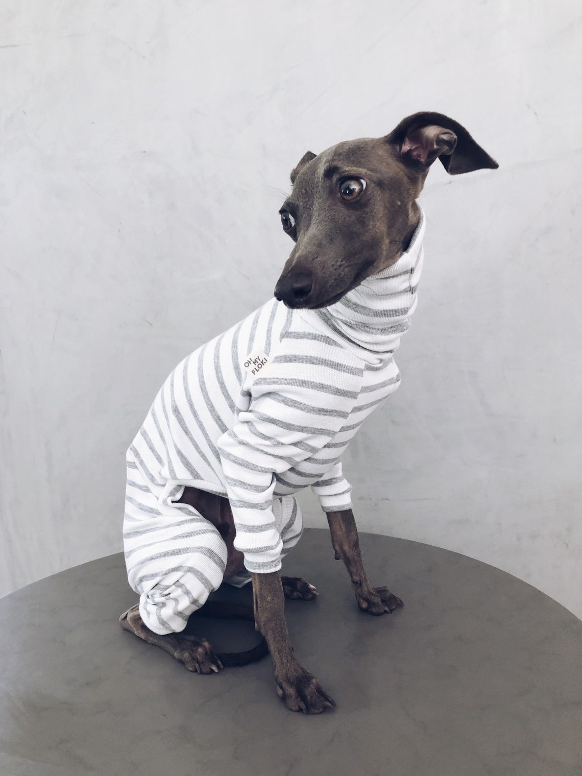 Italian Greyhound and Whippet Clothes / Iggy Jumpsuit / Dog | Etsy