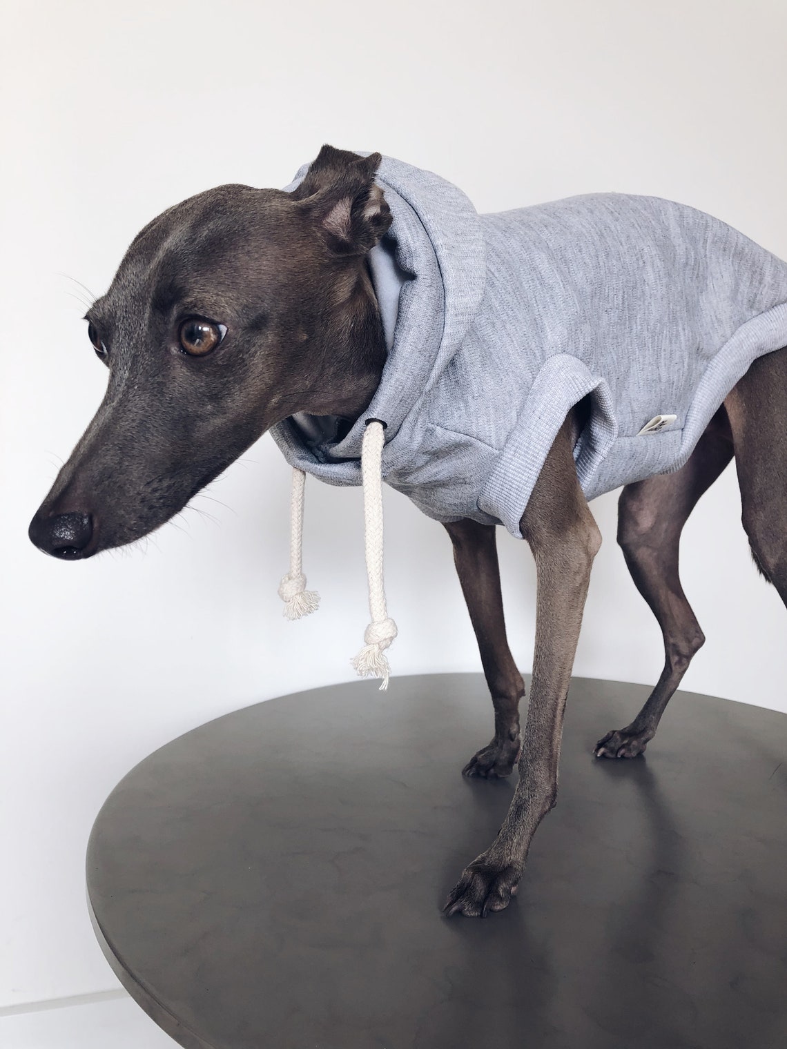 Italian Greyhound & Whippet Clothes / Iggy Clothes / Dog | Etsy