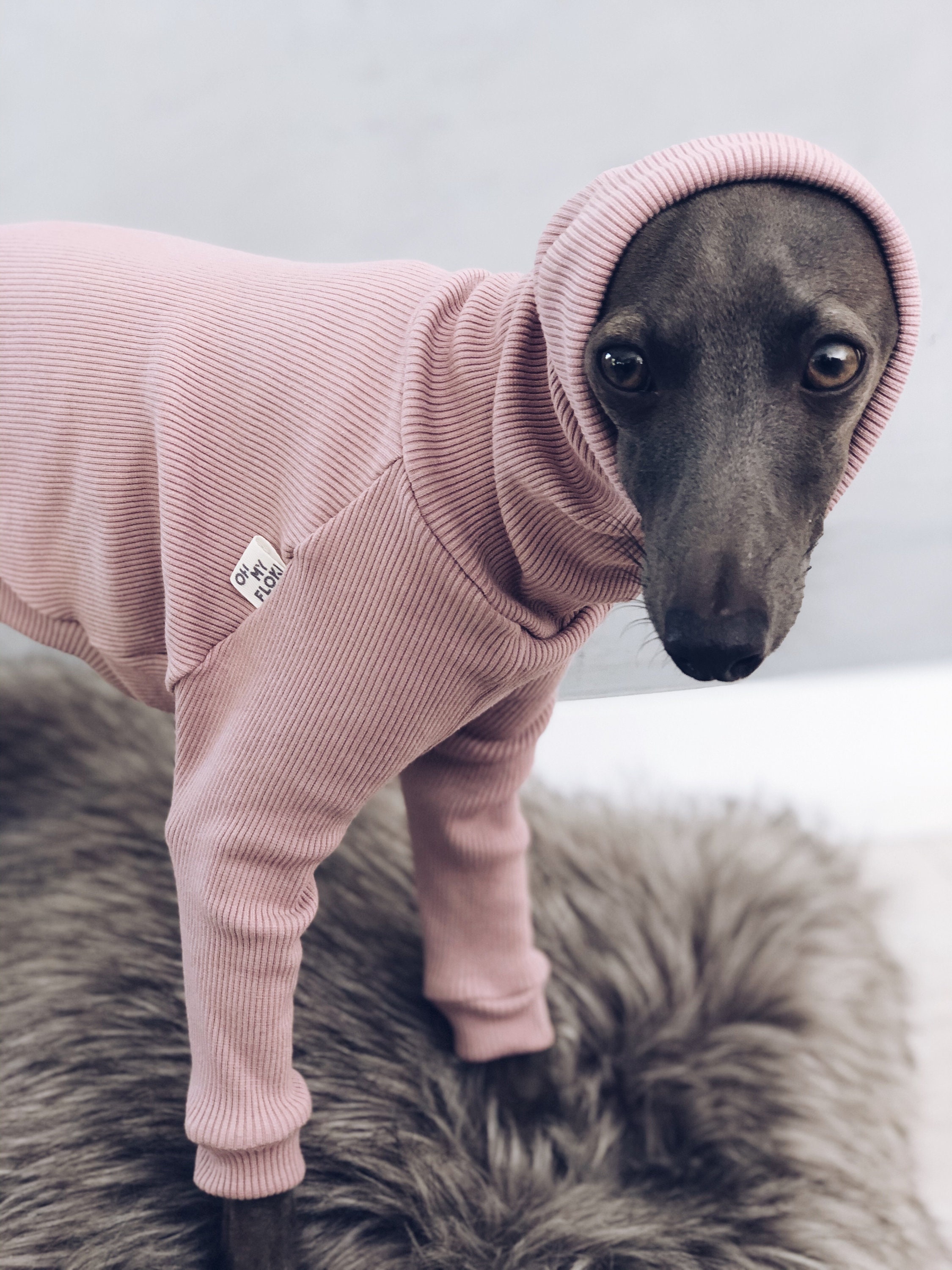 Italian greyhound and whippet clothes / iggy jumpsuit / Dog - Etsy España