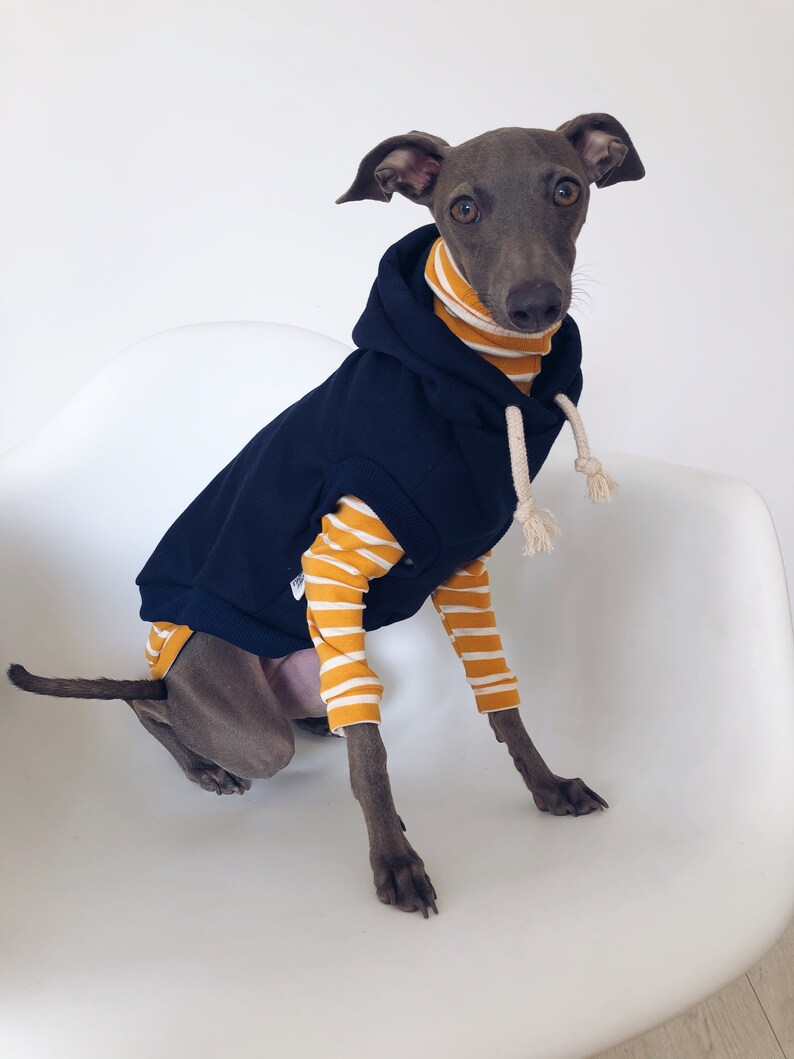 Italian Greyhound & Whippet Clothes / Iggy Clothes / Dog - Etsy