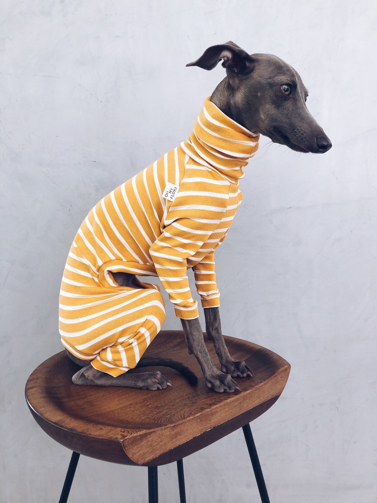 Italian greyhound and whippet clothes / iggy jumpsuit / Dog | Etsy