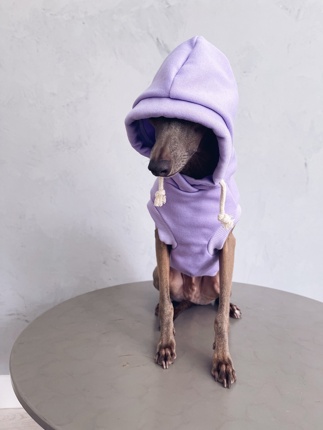 Italian Greyhound & Whippet Clothes / Iggy Clothes / Dog Hoodie ...