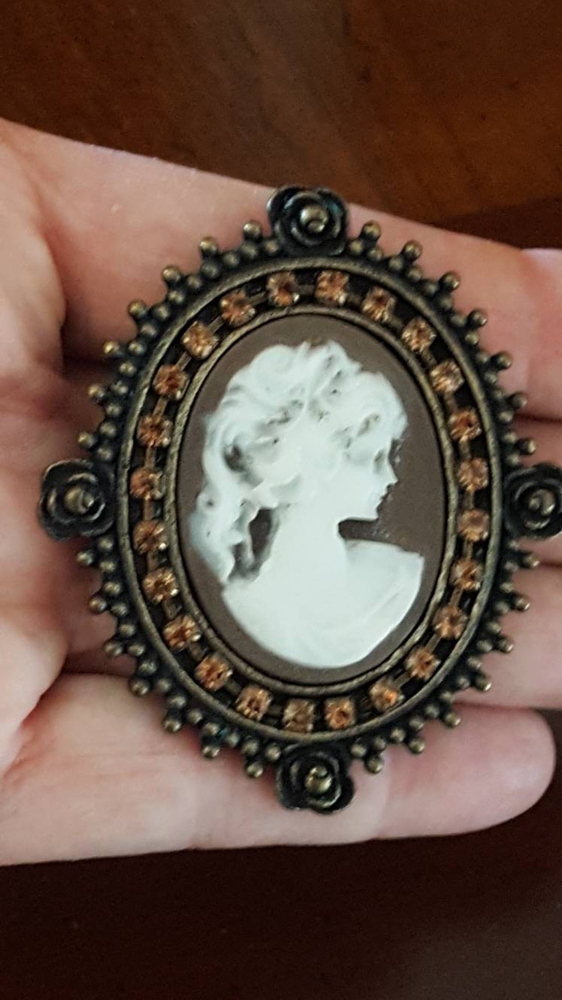 Cameo Vintage 1970s Oval Female Cameo in Acrylic Resin With Antique ...