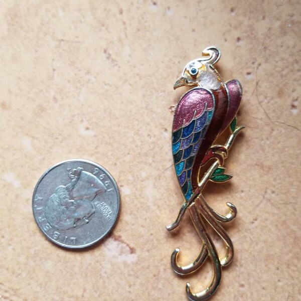 Exotic Bird Pin - Etsy