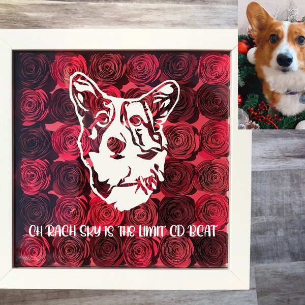 Pet Shadowbox - Etsy