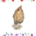 Chicken Greetings Card Design (2) - Etsy