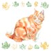 Ginger Cat Greetings Card (2) - Etsy