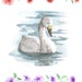 Swan Greetings Card Design (1) - Etsy