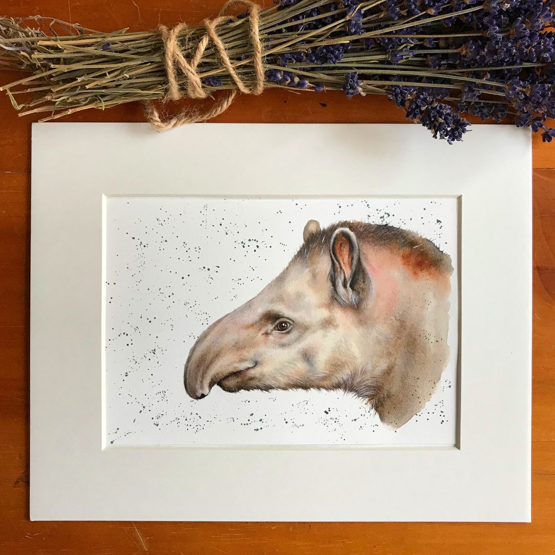 Tapir Original Artwork - Mounted - Etsy