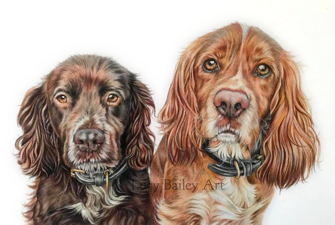 Custom Coloured Pencil Pet Portrait - Etsy
