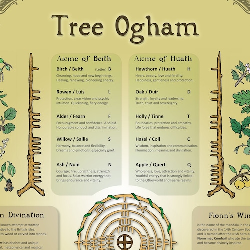 Tree Ogham Ecofriendly A3 Print Wall Art Poster - Etsy UK