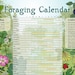 Digital Foraging Calendar, Infographic Poster, Herbalism, Wild Food ...