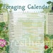 Foraging Calendar, Ecofriendly A3 Print, Wall Art Poster, Infographic ...