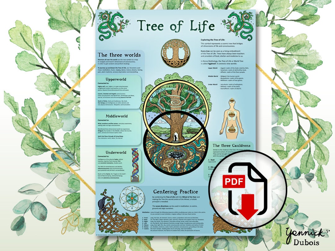 Tree of Life, Infographic, Correspondence Chart, Celtic, Pagan, Druid ...