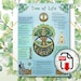 Druid Correspondence Chart, Infographic, Wheel of the Year, Celtic ...