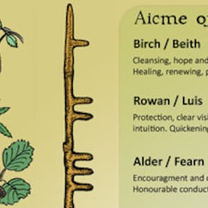 Tree Ogham, Ecofriendly A3 Print, Wall Art Poster, Infographic ...