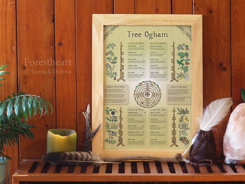 Tree Ogham, Forest Magic, Ecofriendly A3 Print, Wall Art Poster ...